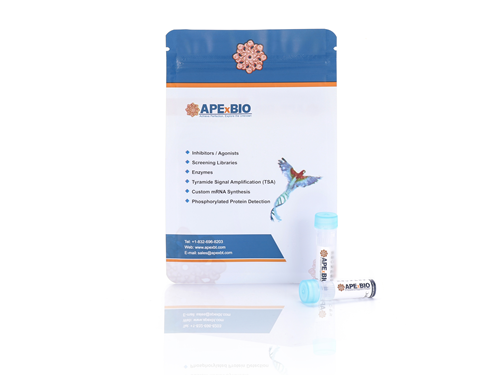 美国APExBIO中文官网 - Anti-SEZ6 Antibody (Abbv-011)