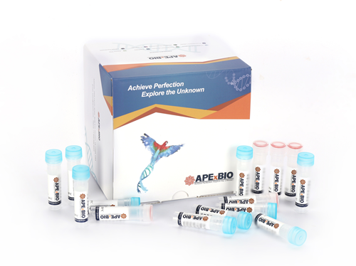 美国APExBIO中文官网 - HyperScribe™ All in One mRNA Synthesis Kit II Plus 2 ...